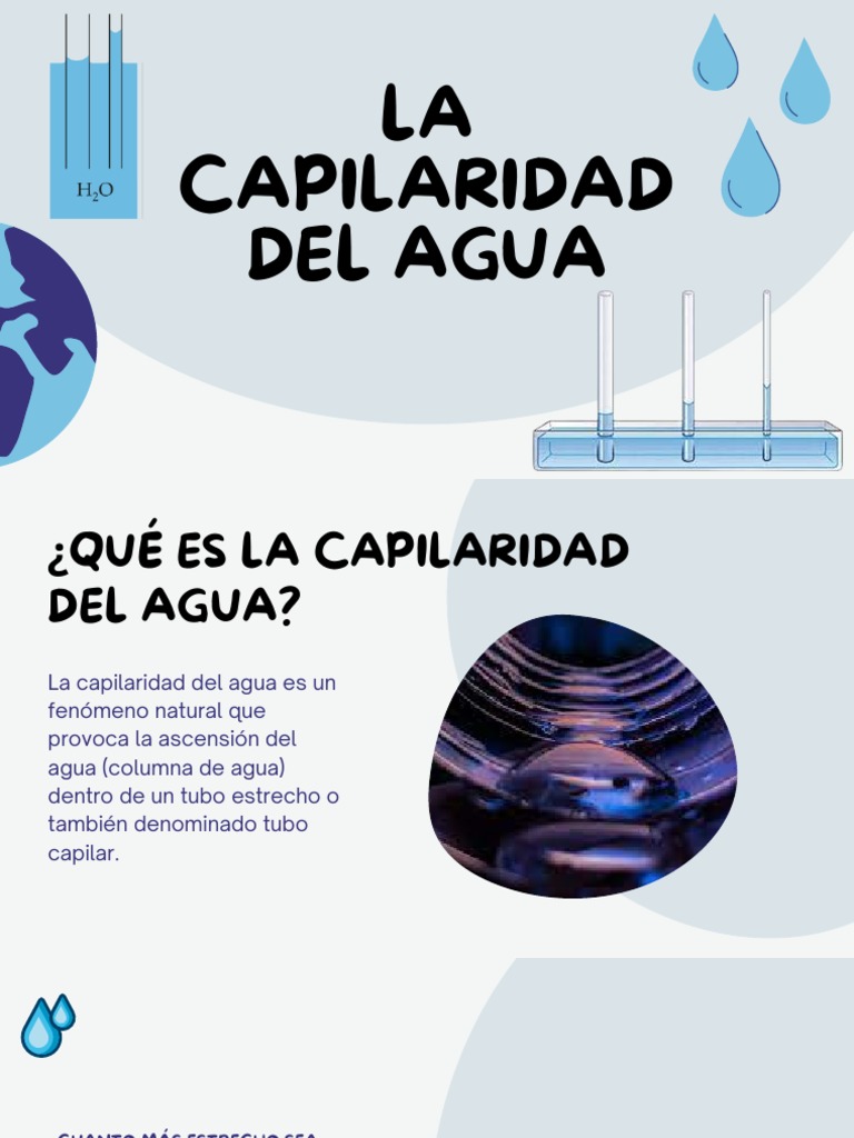 La Capilaridad Del Agua | PDF