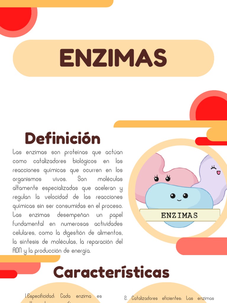 Enzimas | PDF