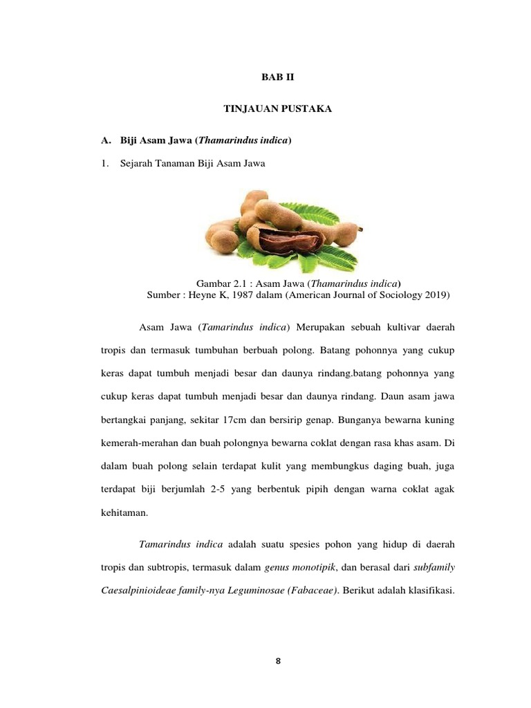 Sejarah Biji Asam Jawa | PDF