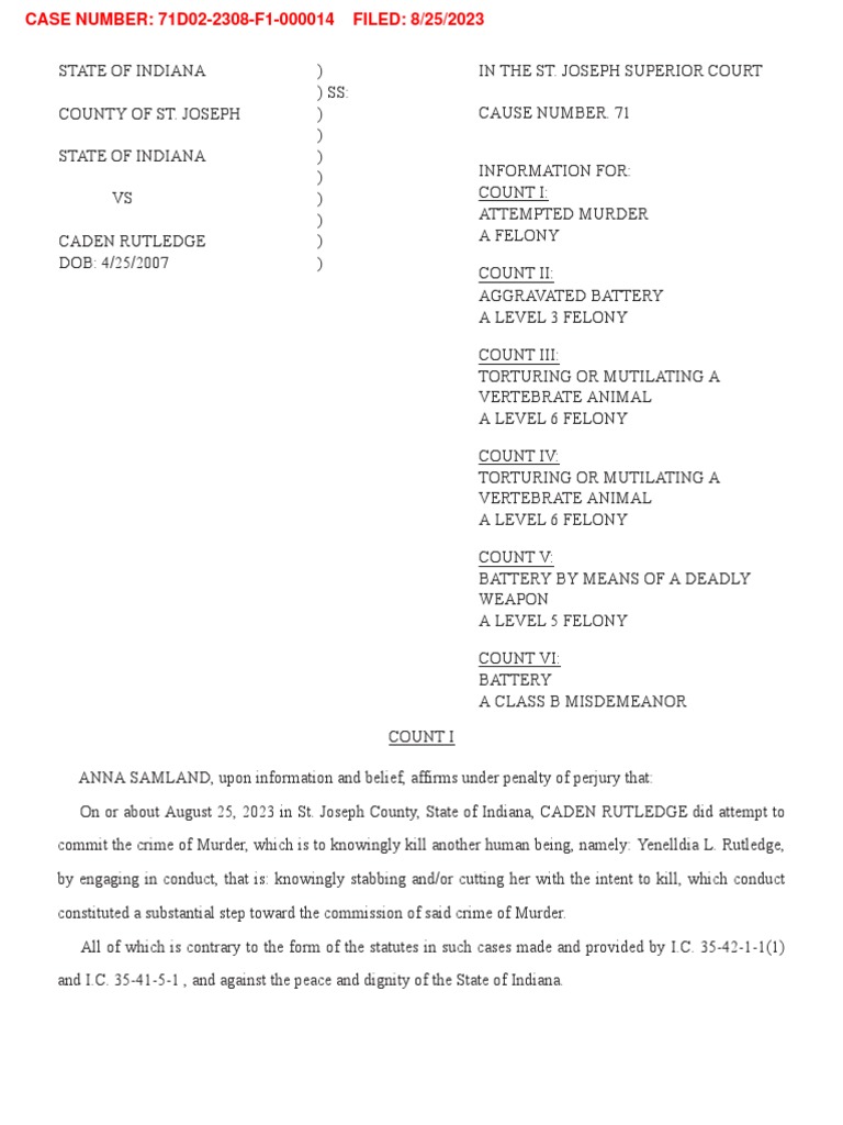 Caden Rutledge Charging Information | PDF