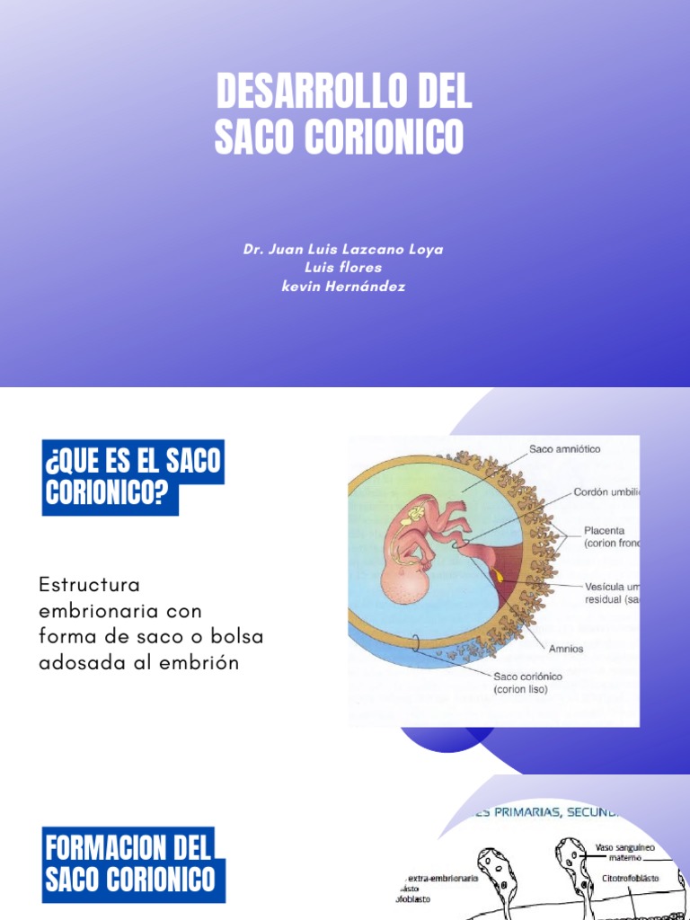 Desarrollo y Función del Saco Coriónico | PDF | Ciencias sociales