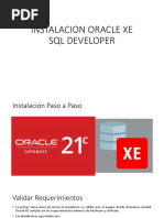 Instalación de Oracle SQL Developer | PDF | Crecimiento personal y ...