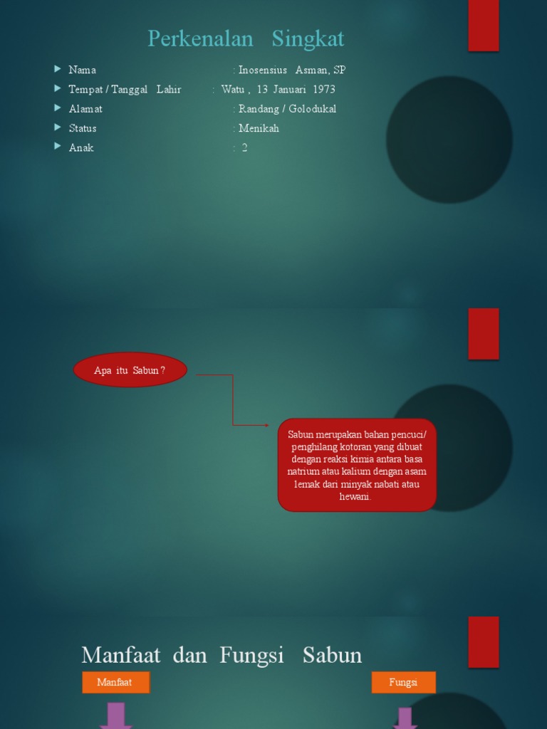 Cara Membuat Sabun | PDF