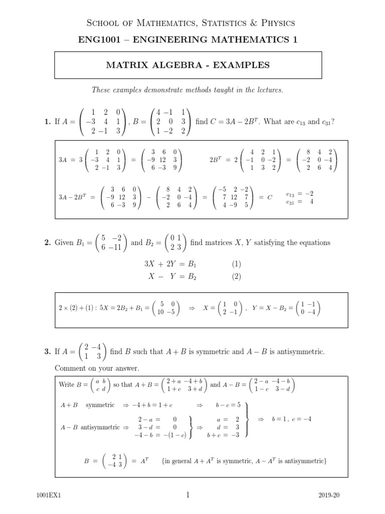 Eng1001 Matrix Examples | PDF