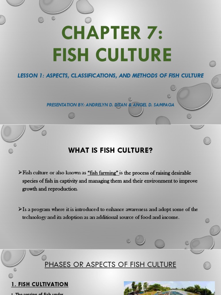 AFA-Chapter 7-Fish Culture-Lesson 1 - DITAN-SAMPAGA | PDF | Fish | Aquarium