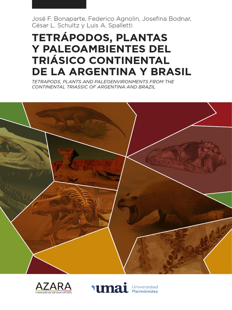 Triasico | PDF | Evolución | Plantas