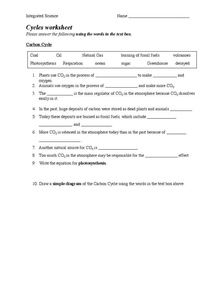 Cycles Worksheet | PDF | Carbon Dioxide | Oxygen