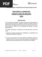 Guía para El Llenado de Formatos | PDF