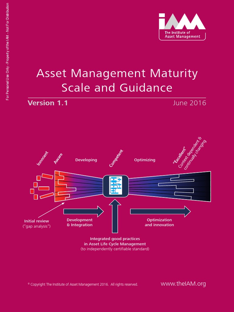 IAM Asset Management Maturity Scale and Guidance | PDF