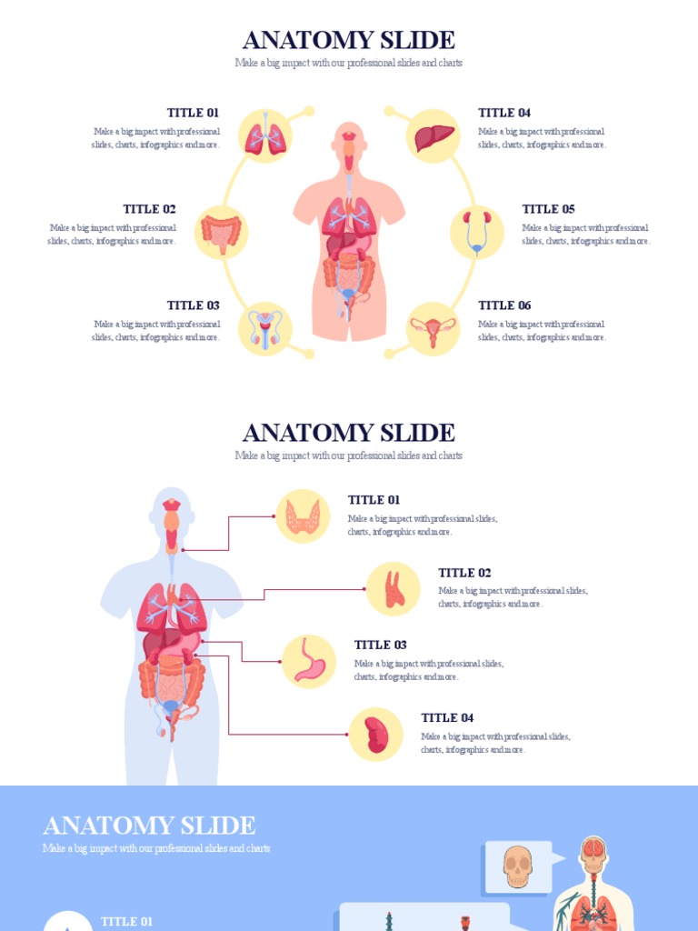 Anatomy Infographic Presentation Template Yellow Variant | PDF