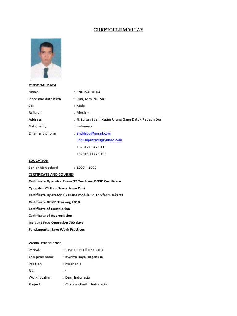 CV Endi Saputra | PDF