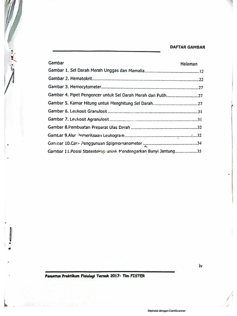 Diktat Anfister | PDF