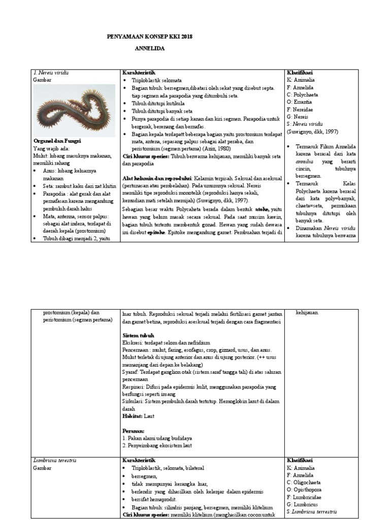 Penyamaan Konsep Annelida | PDF