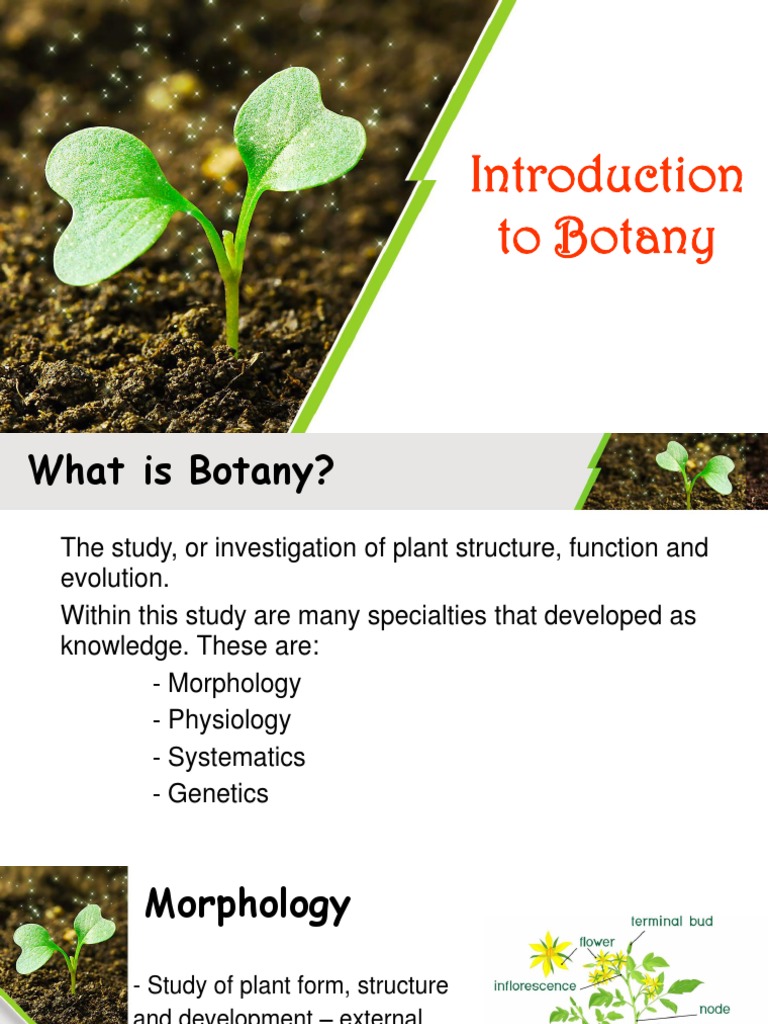 Introduction To Botany | PDF | Botany | Legume