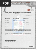 Formato de Alta Vehicular SLP | PDF | Gobierno | Business