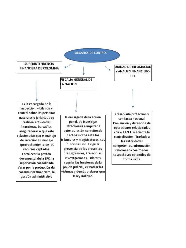 Mapa Conceptual Organos de Control | PDF