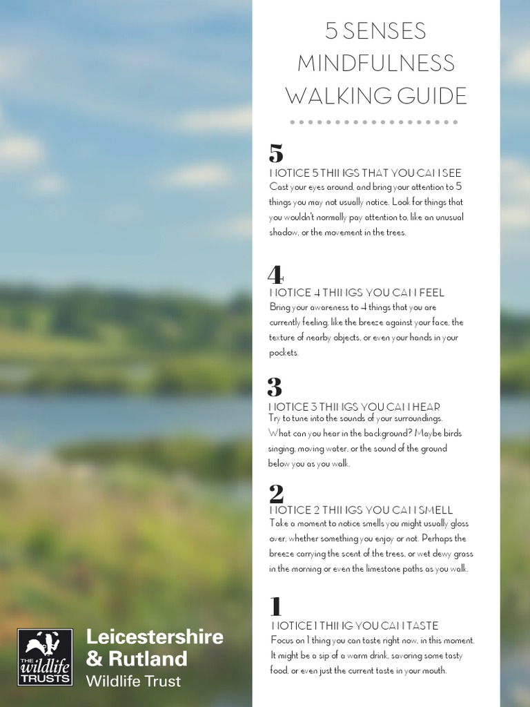 5 Senses Mindfulness Walking Guide | PDF