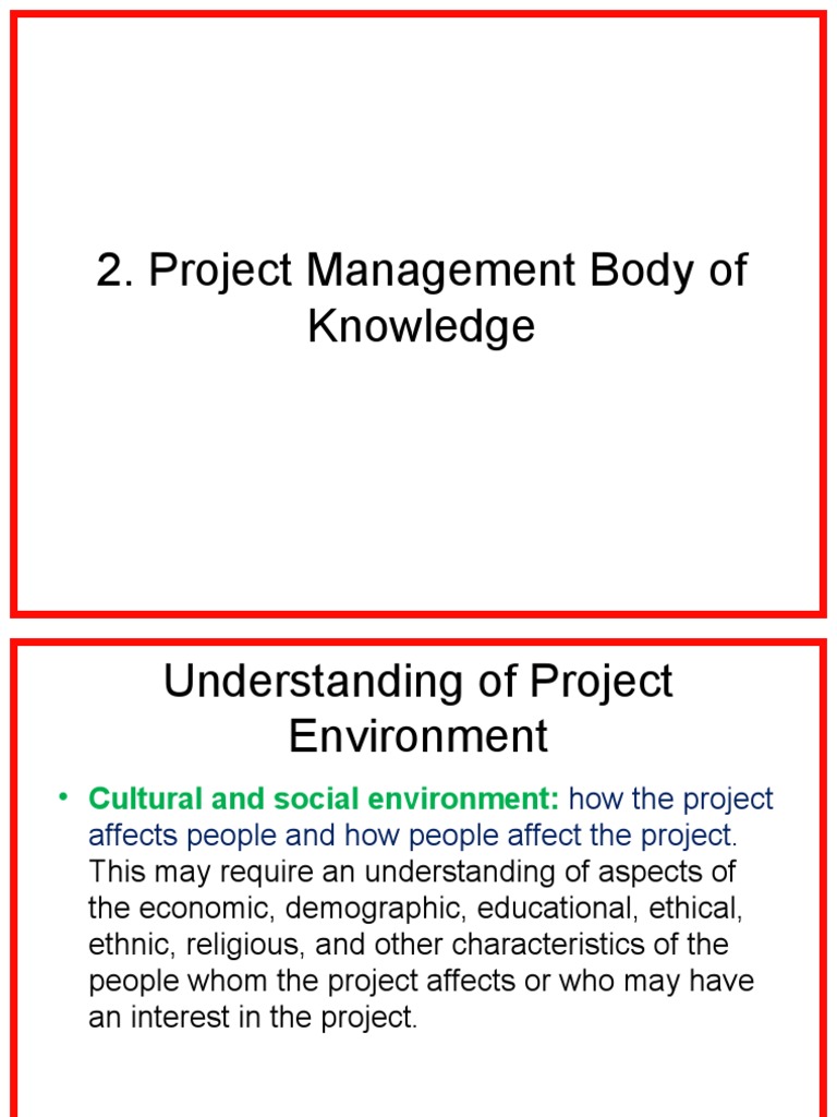 Project Management Environment Guide | PDF | Leadership | Motivation