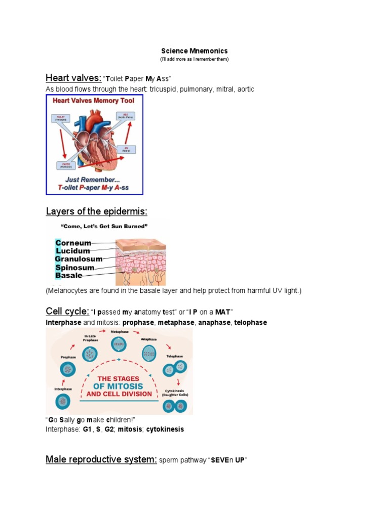 TEAS Science Mnemonics | PDF | Social Science | Science & Mathematics
