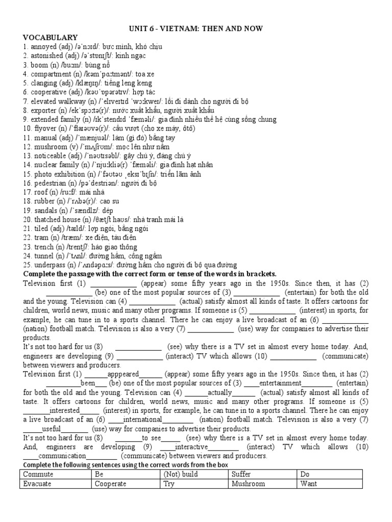 Tu Vung Tieng Anh Lop 9 Unit 6 Viet Nam Then and Now | PDF | Bottle | Plastic