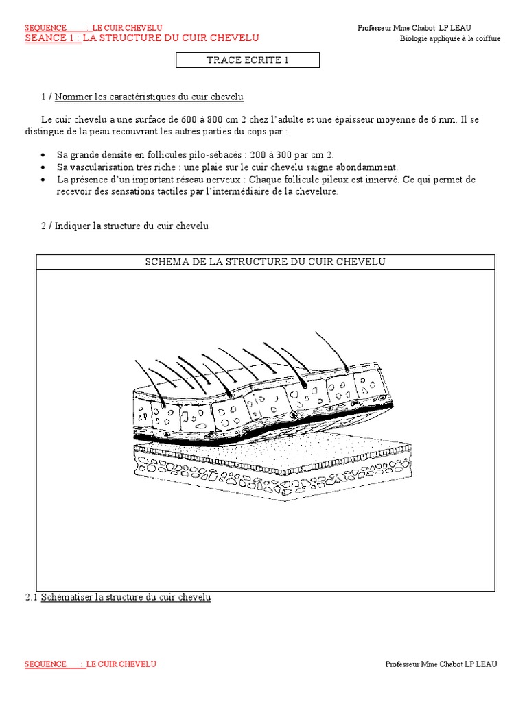 La Structure Du Cuir Chevelu | PDF