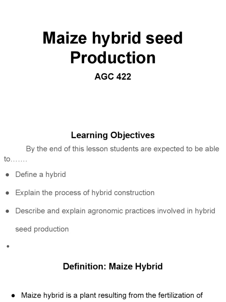 Lecture 10 - Hybrid Maize Seed Production-1 | PDF Lecture 10 - Hybrid Maize Seed Production-1 | PDF
