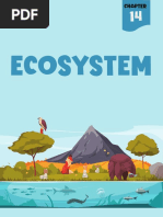 Ecosystem - NCERT | PDF | Ecosystem | Food Web