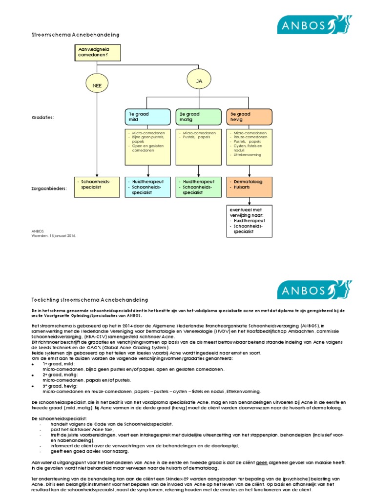 Stroomschema Acne | PDF