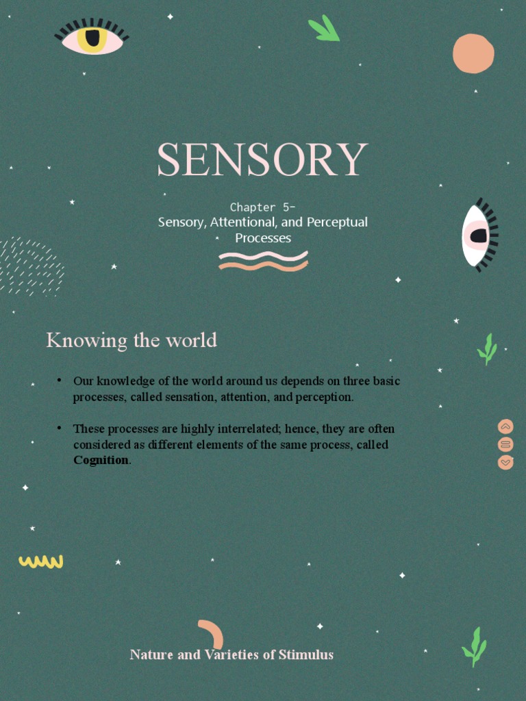 Psychology | PDF | Senses | Perception