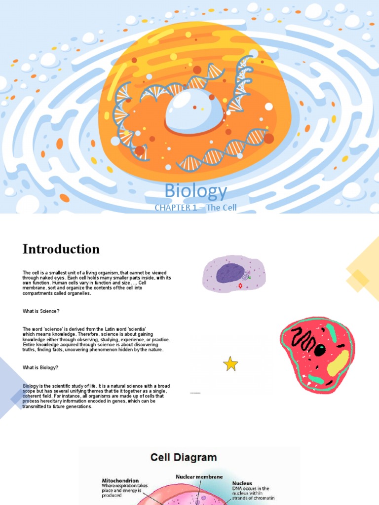 Biology CHAPTER 1 - The Cell | PDF