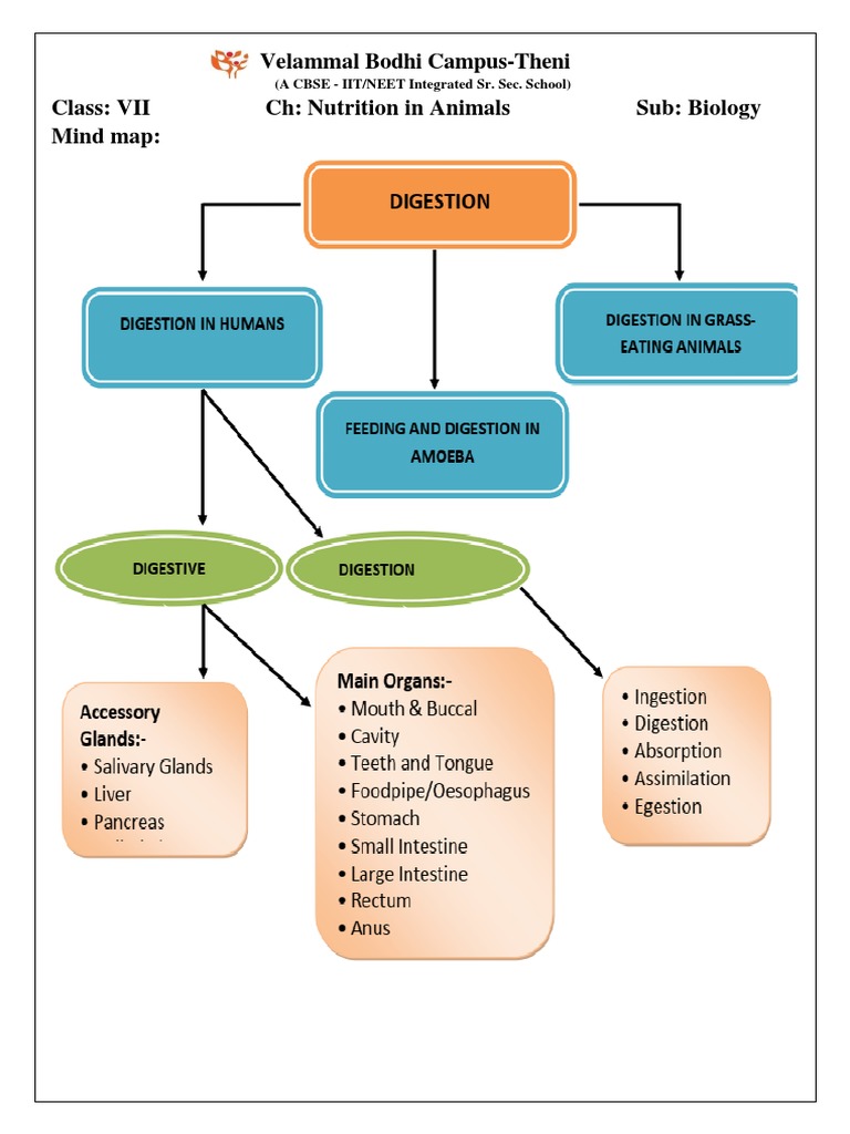 VII-BIO Nutrition in Animals | PDF
