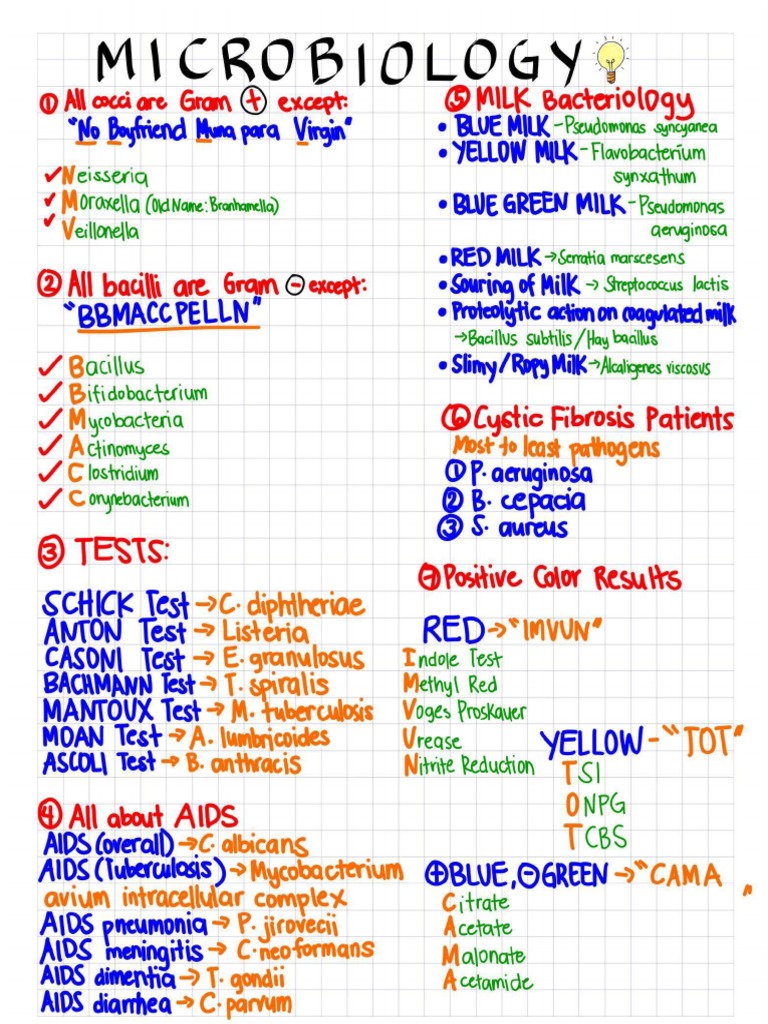 Microbio Mnemonics | PDF