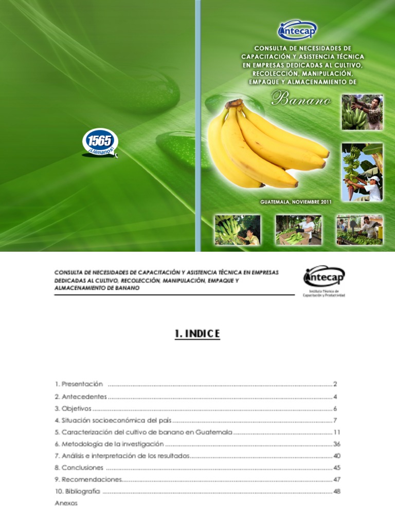 Consulta de Necesidades de Capacitación y Asistencia Técnica en Empresas Dedicadas Al Cultivo ...