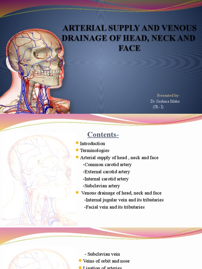 Sushma 3rd Seminar Arterial Supply and Venous Drainage of Head | PDF ...