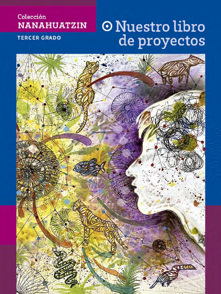 Nuestro Libro de Proyectos 3 | PDF | Enseñando | Conocimiento Nuestro Libro de Proyectos 3 | PDF | Enseñando | Conocimiento