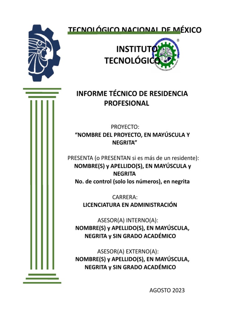 Plantilla Del Informe Tecnico | PDF