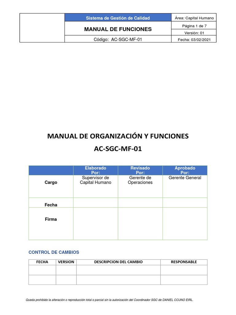 Manual de Organización y Funciones | PDF