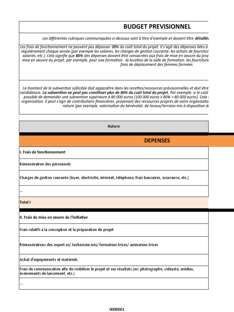 Budget Prévisionnel de Projet Excel | PDF