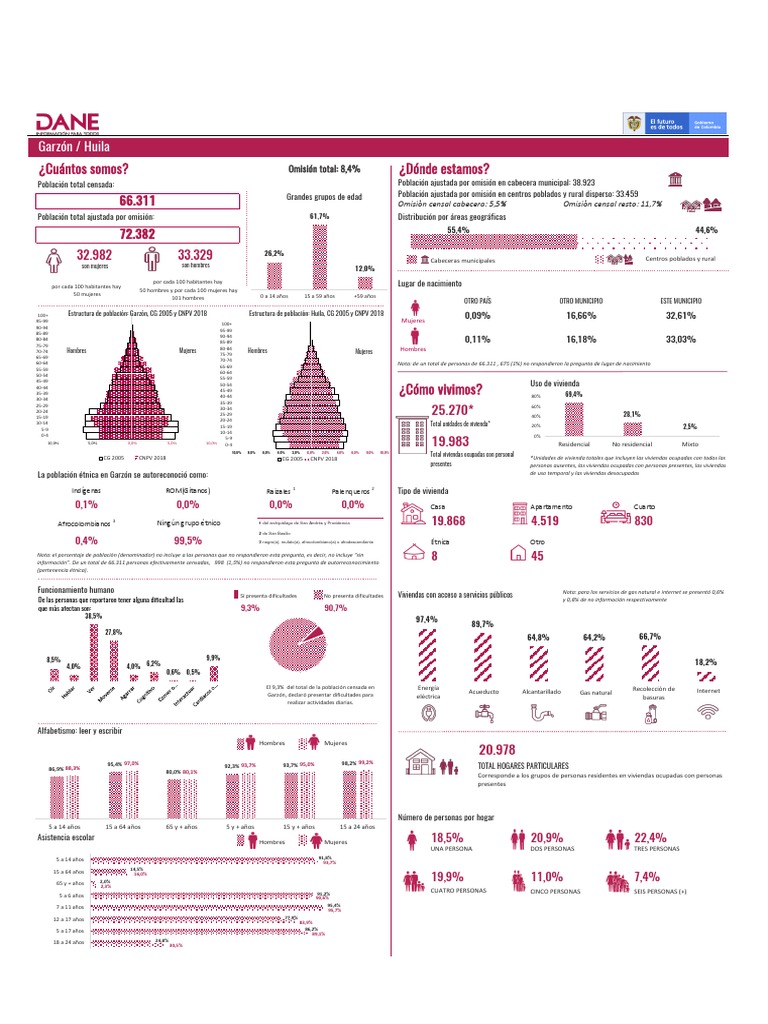 Infografia Censo2018 GARZON | PDF