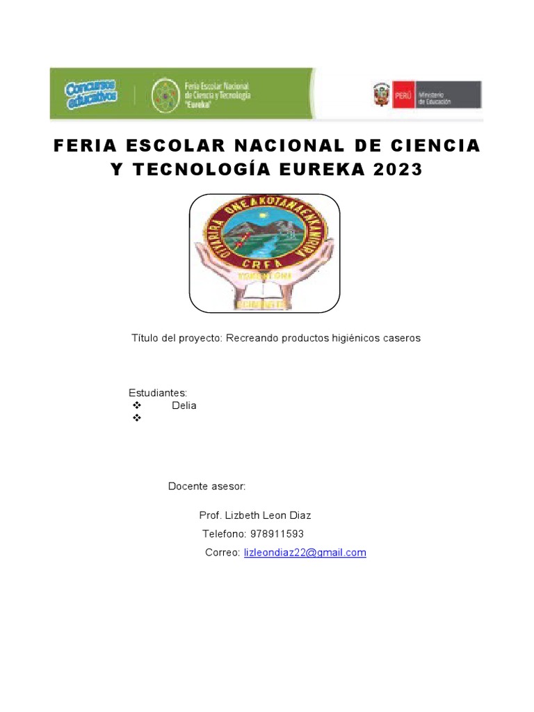 Modelo de Informe de Fencyt 2023 | PDF | Transporte | Perú