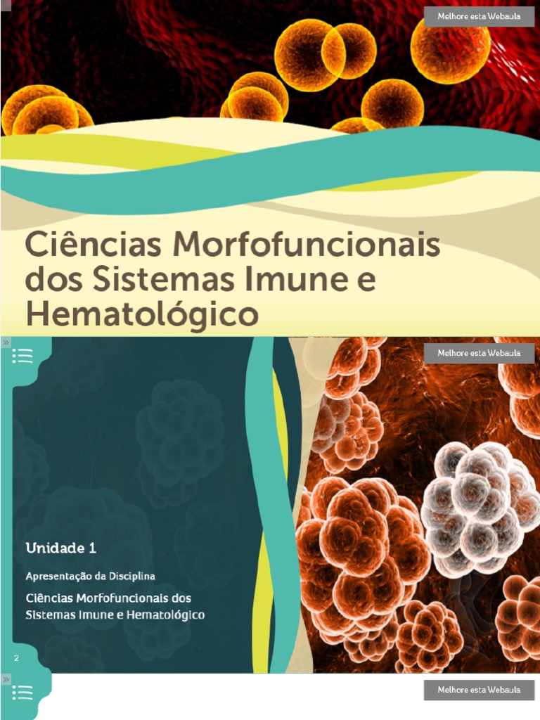 U1S1 - Webaula | PDF