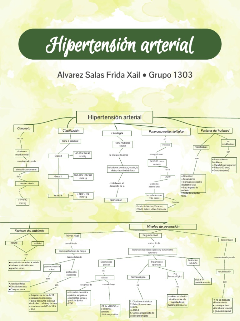 Mapa Hipertensión Arterial | PDF