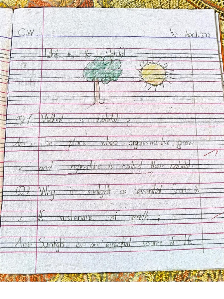 Grade 3rd Science Pdf