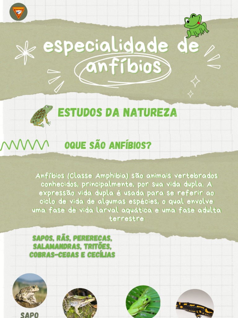 Especialidade de Anfíbios | Download grátis PDF | Sapo | Anfíbio