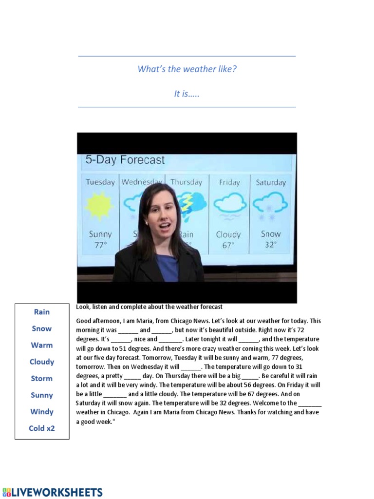 Chicago Weekly Weather Forecast | PDF