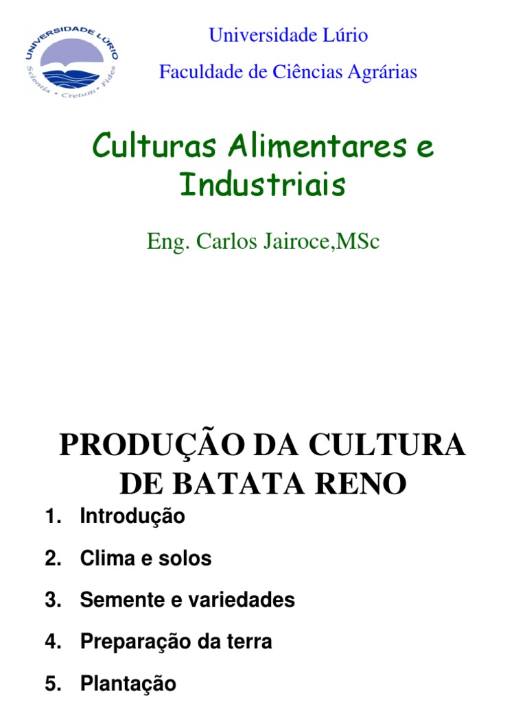 Aula 7.batata Reno | PDF | Batata | Agricultura