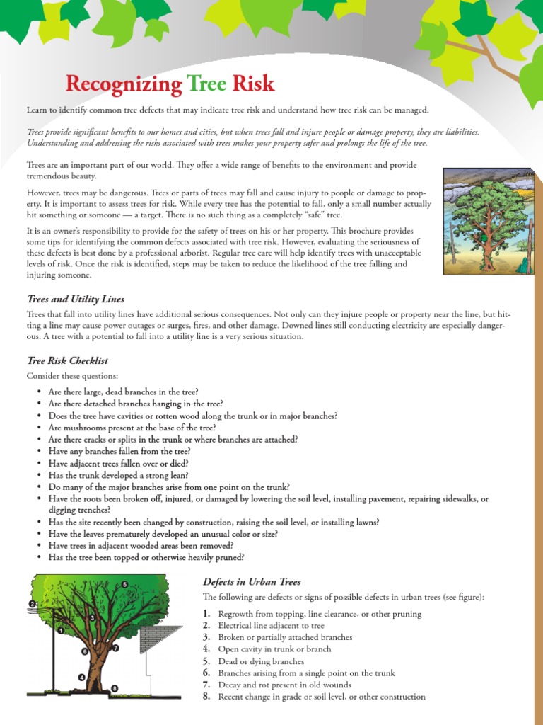 Tree Risk | PDF