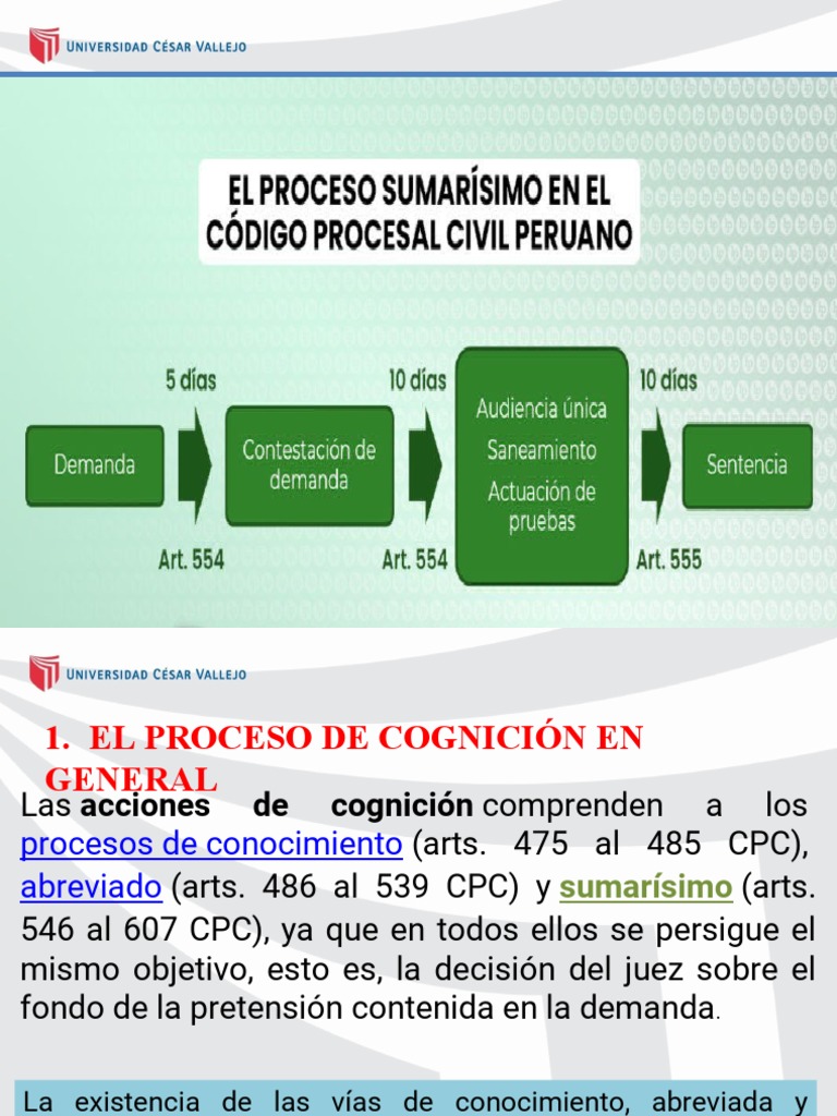Proceso Sumarísimo | PDF | Demanda judicial | Apelación