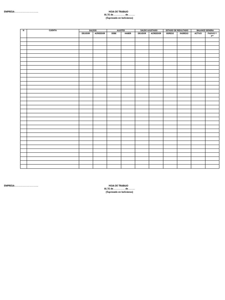 Formato de Hoja de Trabajo 12 Columnas | PDF