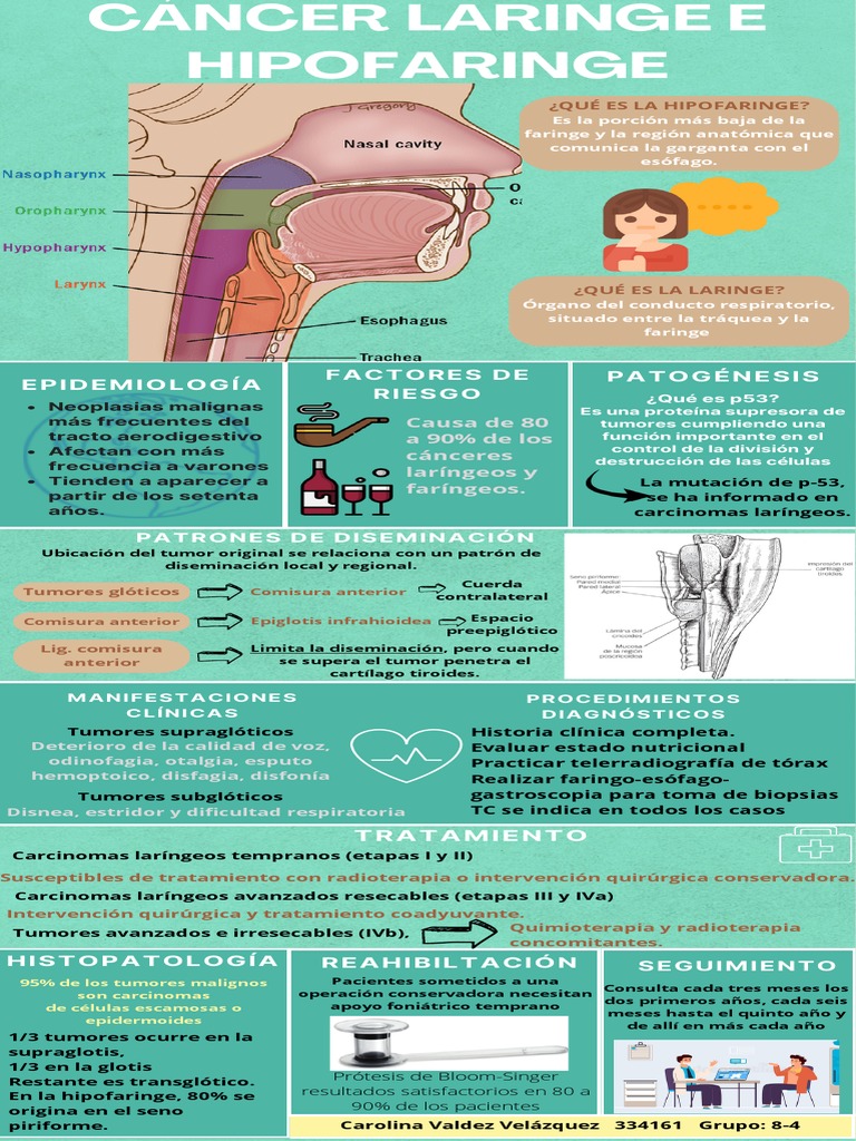 Infografía Cáncer de Laringe e Hipofaringe | Descargar gratis PDF ...